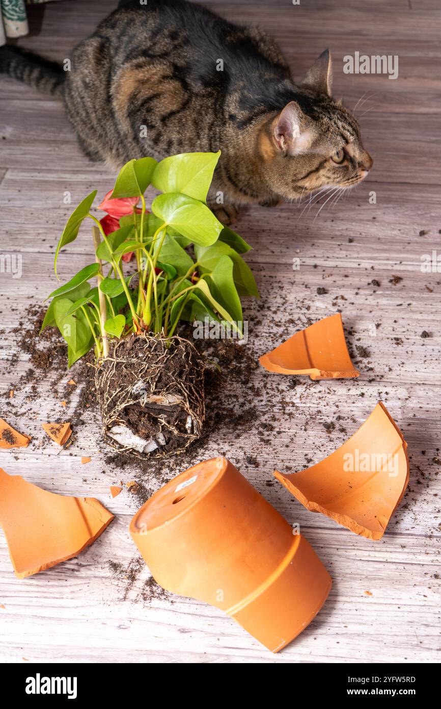 Overturned flower pot soil hi-res stock photography and images - Alamy