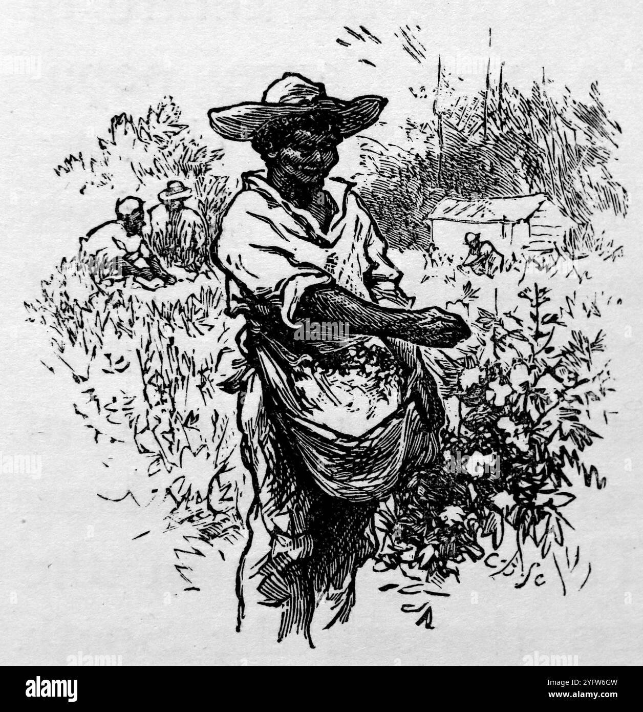 A single slave worker in the cotton fields of the Southern States. From ...