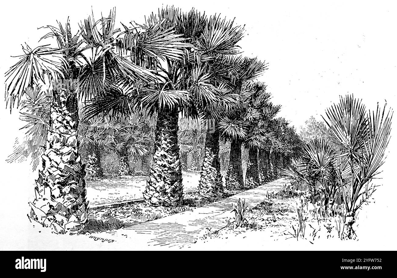 History grove hi-res stock photography and images - Alamy