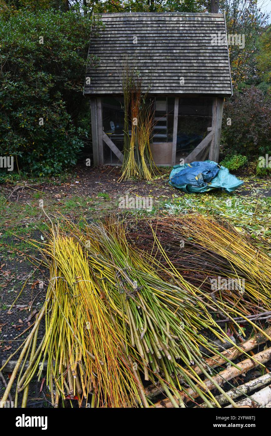 Delivery of willow sticks hi-res stock photography and images - Alamy
