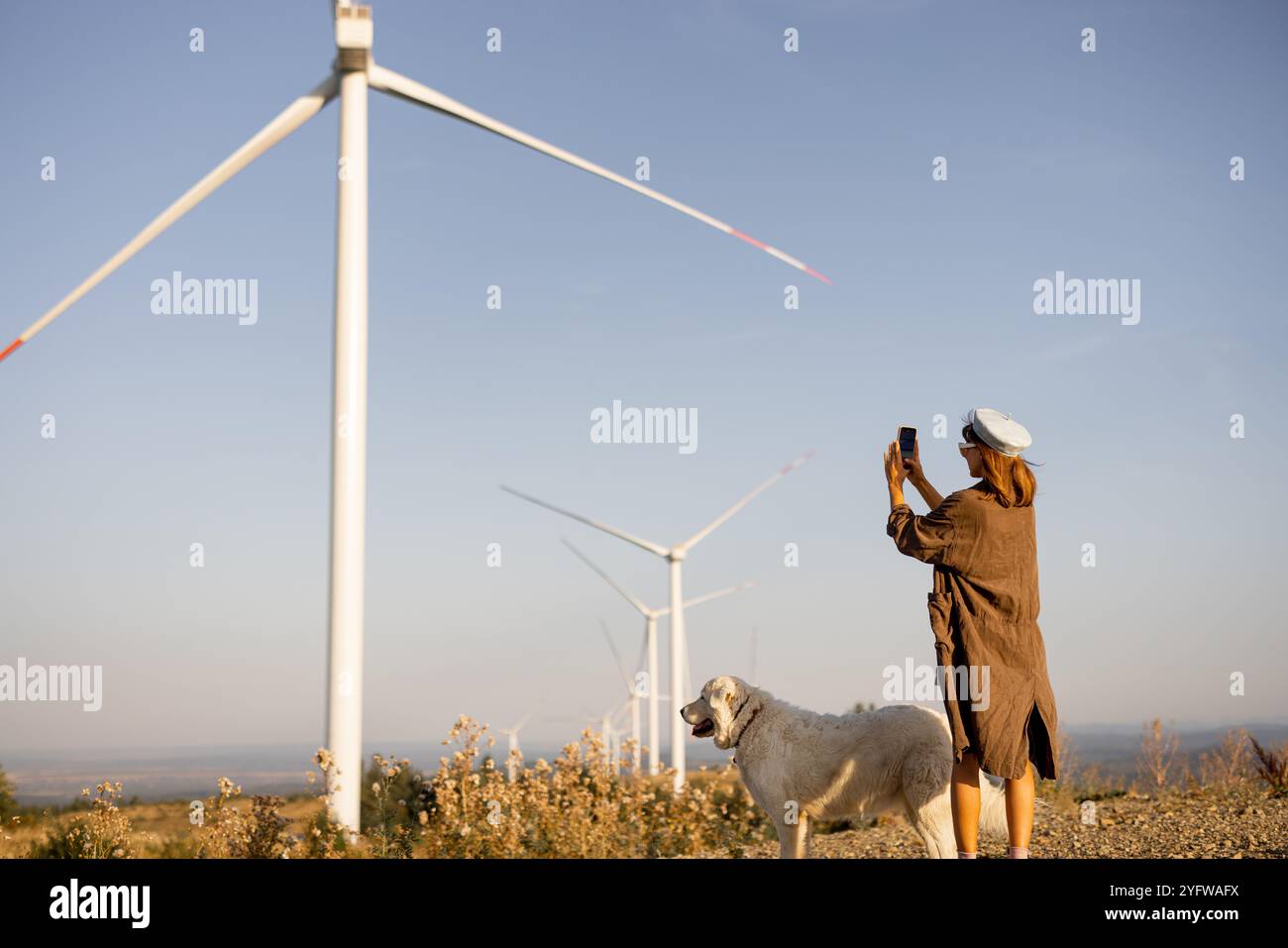 Power seekers hi-res stock photography and images - Alamy