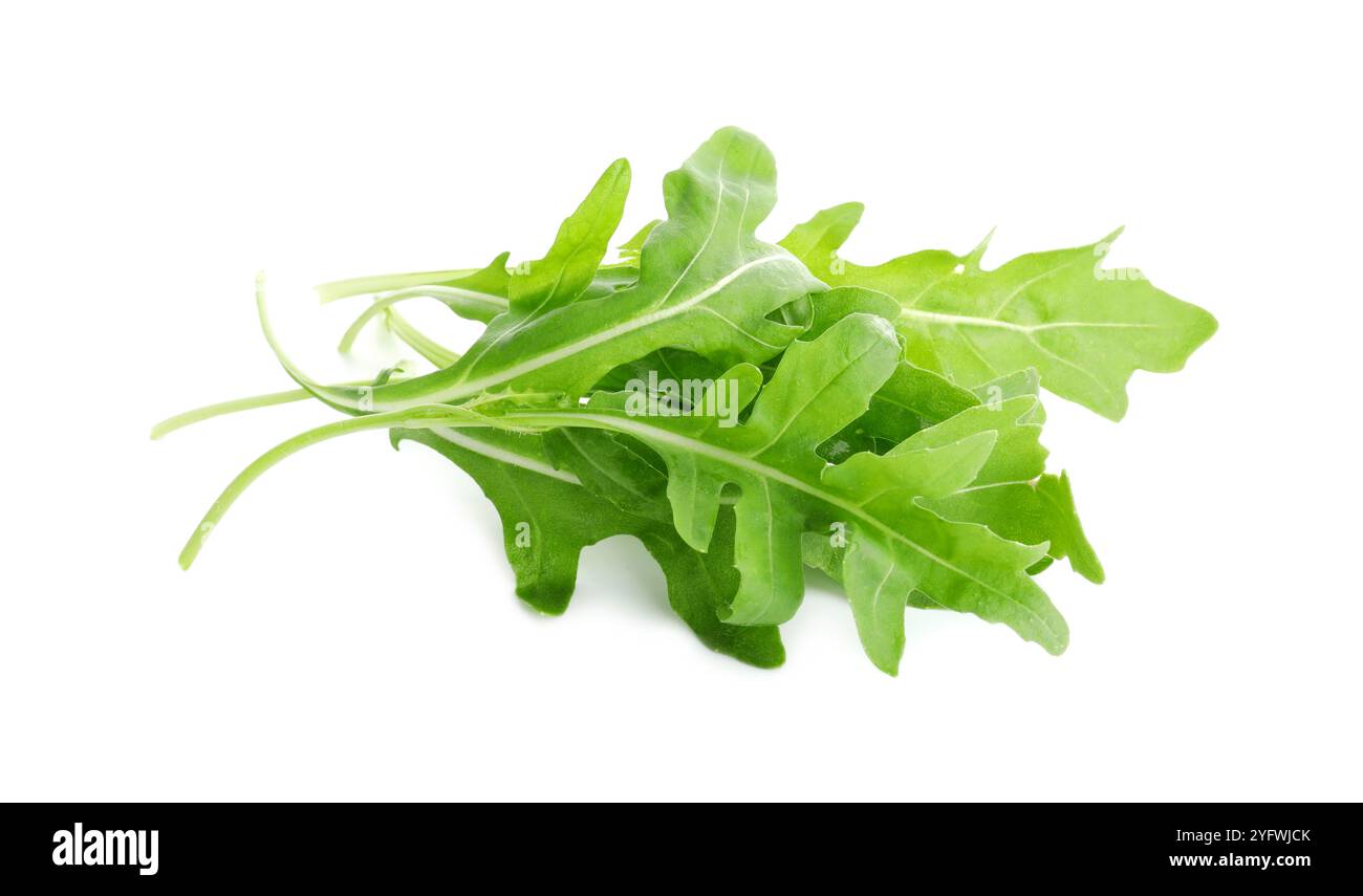 Many fresh arugula leaves on white background Stock Photo - Alamy