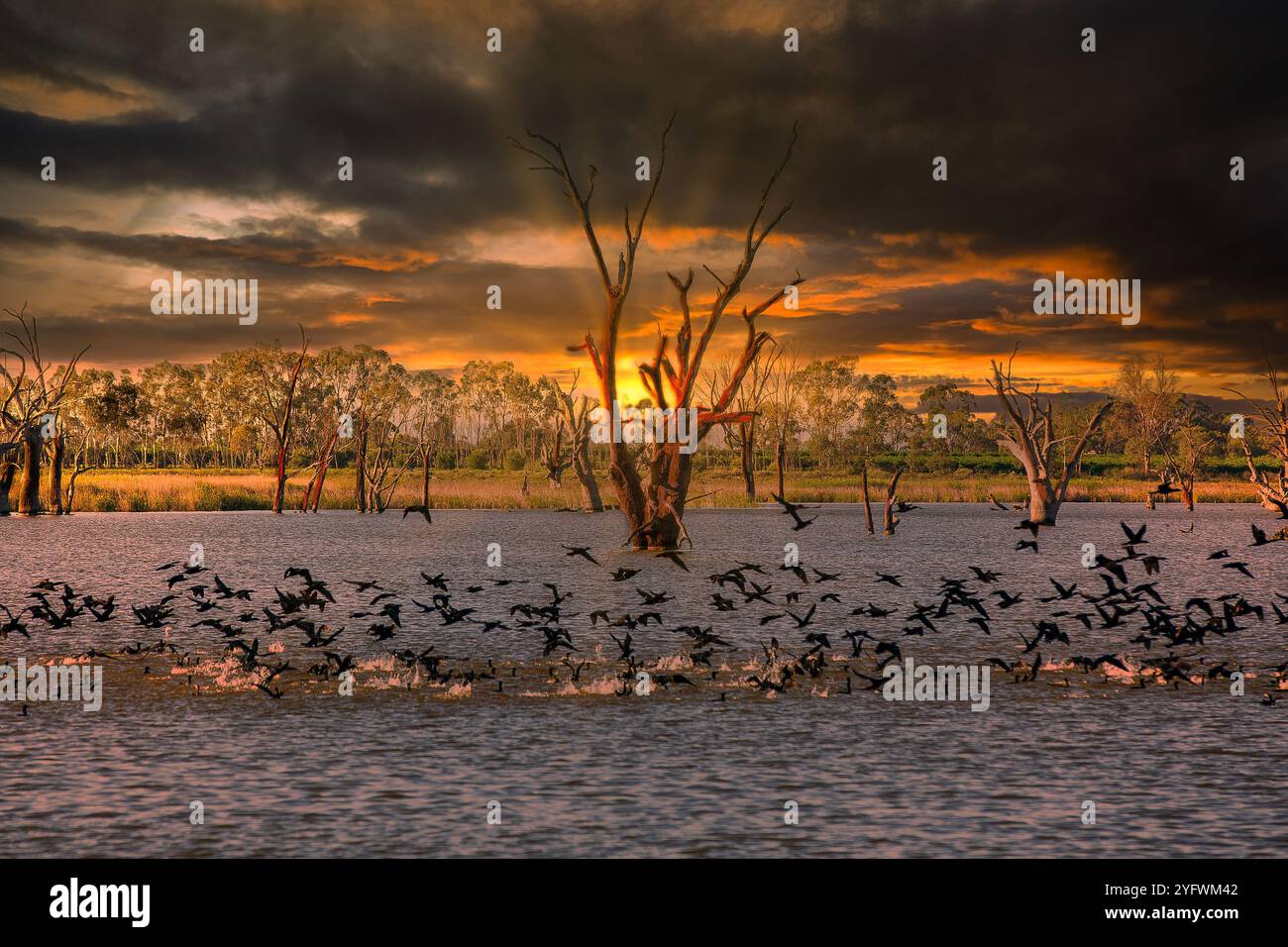 Sunrise landscape Lake Bonney in South Australia with dark clouds due ...