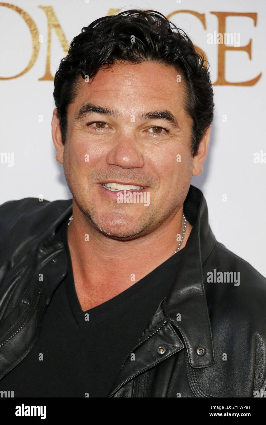Dean Cain at the Los Angeles premiere of 'The Promise' held at the TCL ...