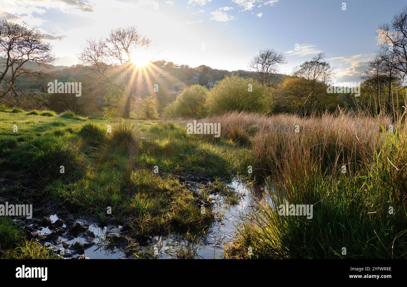A gentle summer landscape in the Peak District in England. A low sun ...