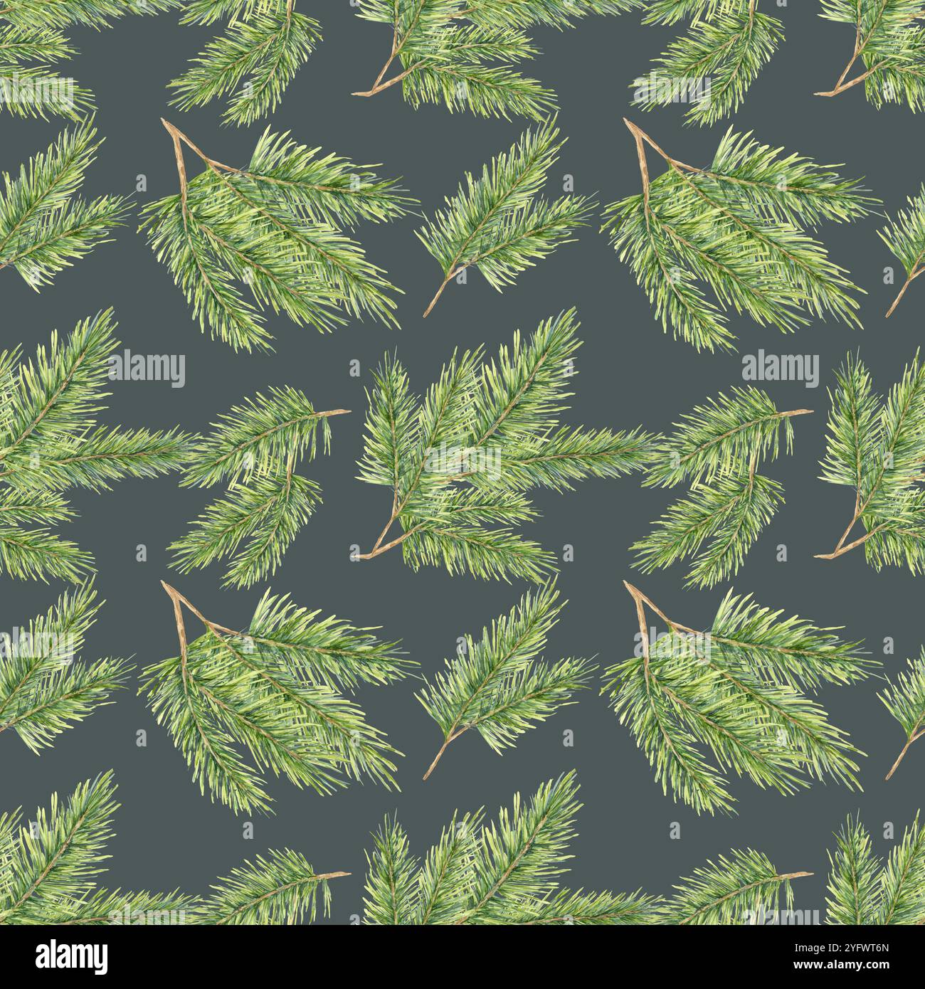 Spruce branches with green needles in a seamless watercolor pattern ...