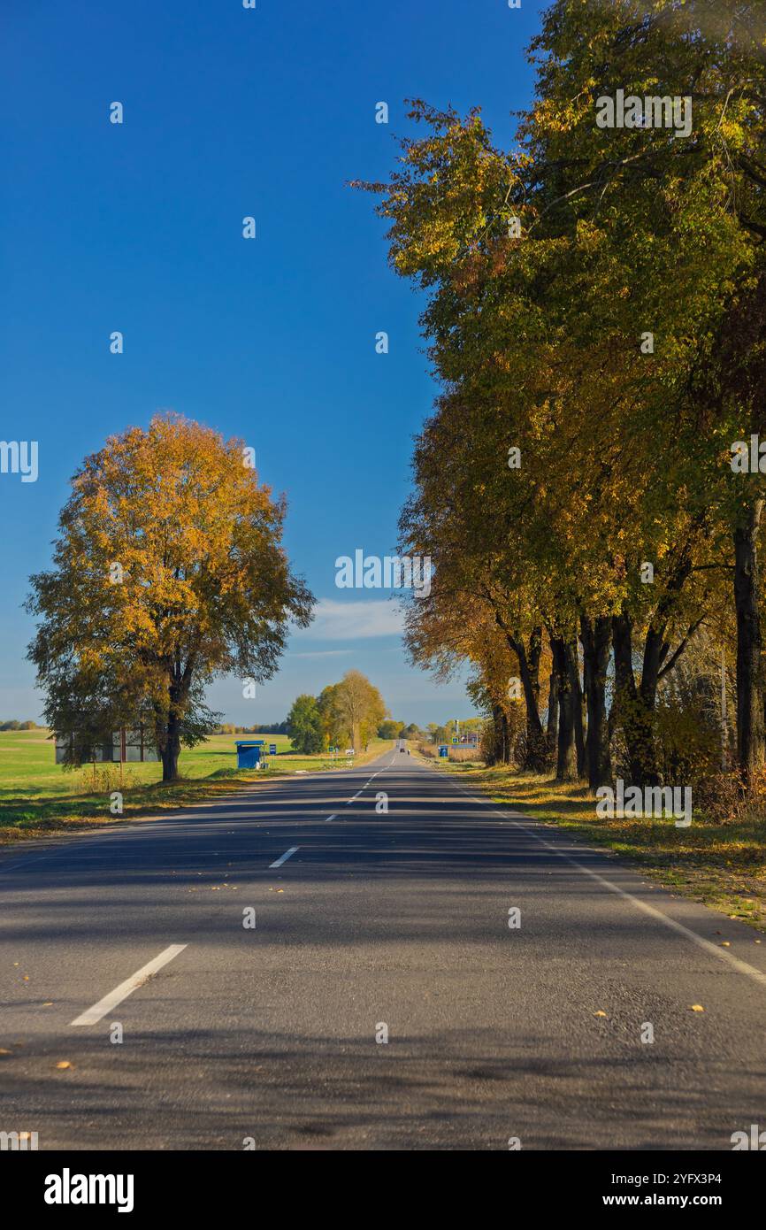 Evening view at sunset. Highway road in the countryside, roadside and ...