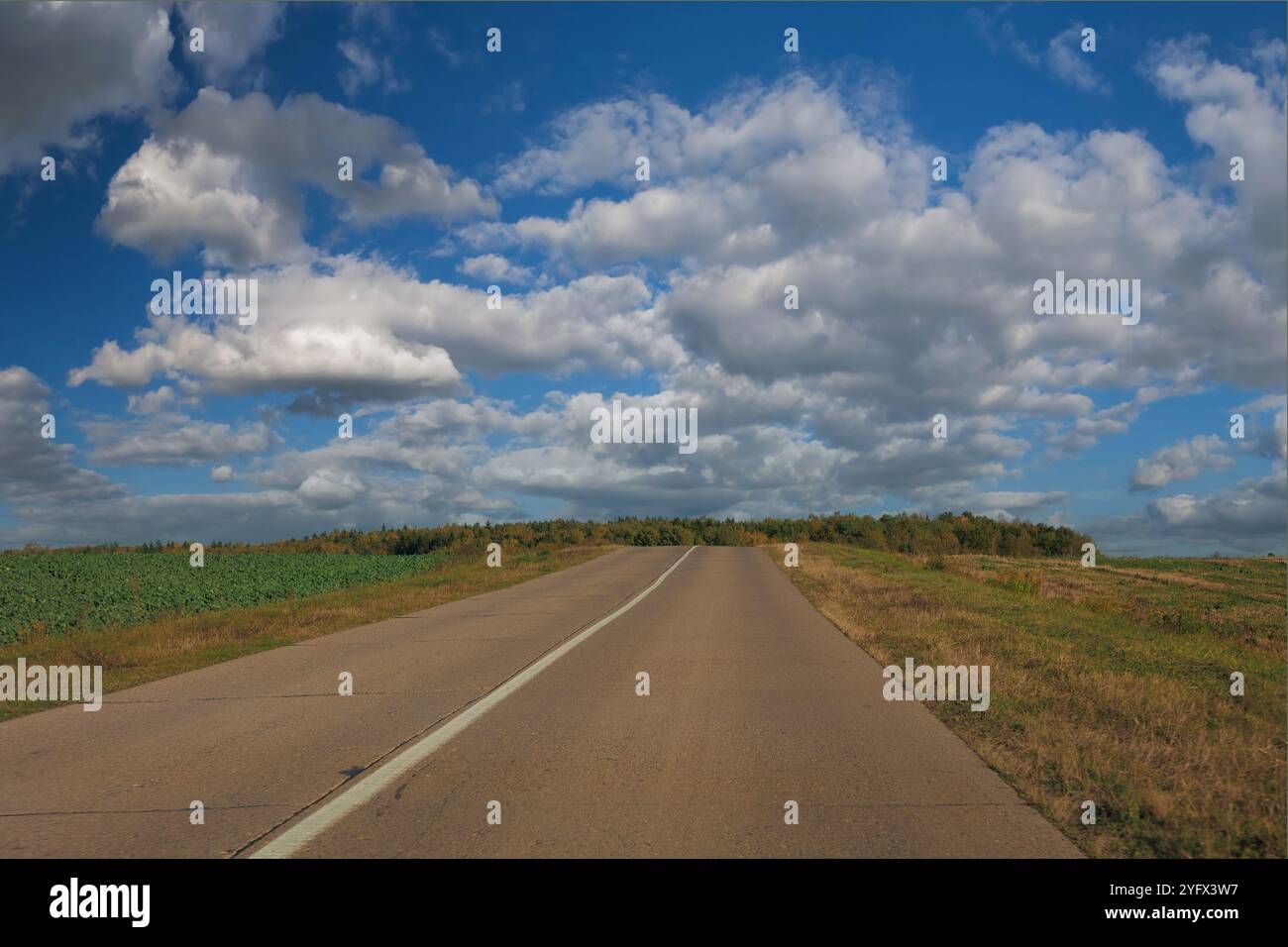 Autumn landscape, road and highway, asphalt and roadside Stock Photo ...