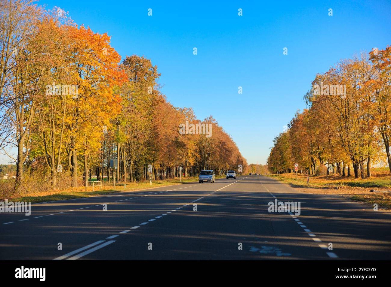 Evening view at sunset. Highway road in the countryside, roadside and ...