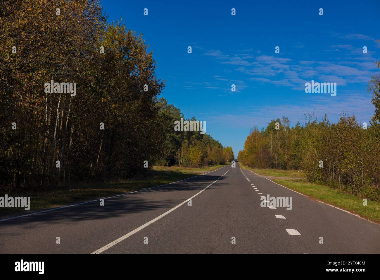 Evening view at sunset. Highway road in the countryside, roadside and ...