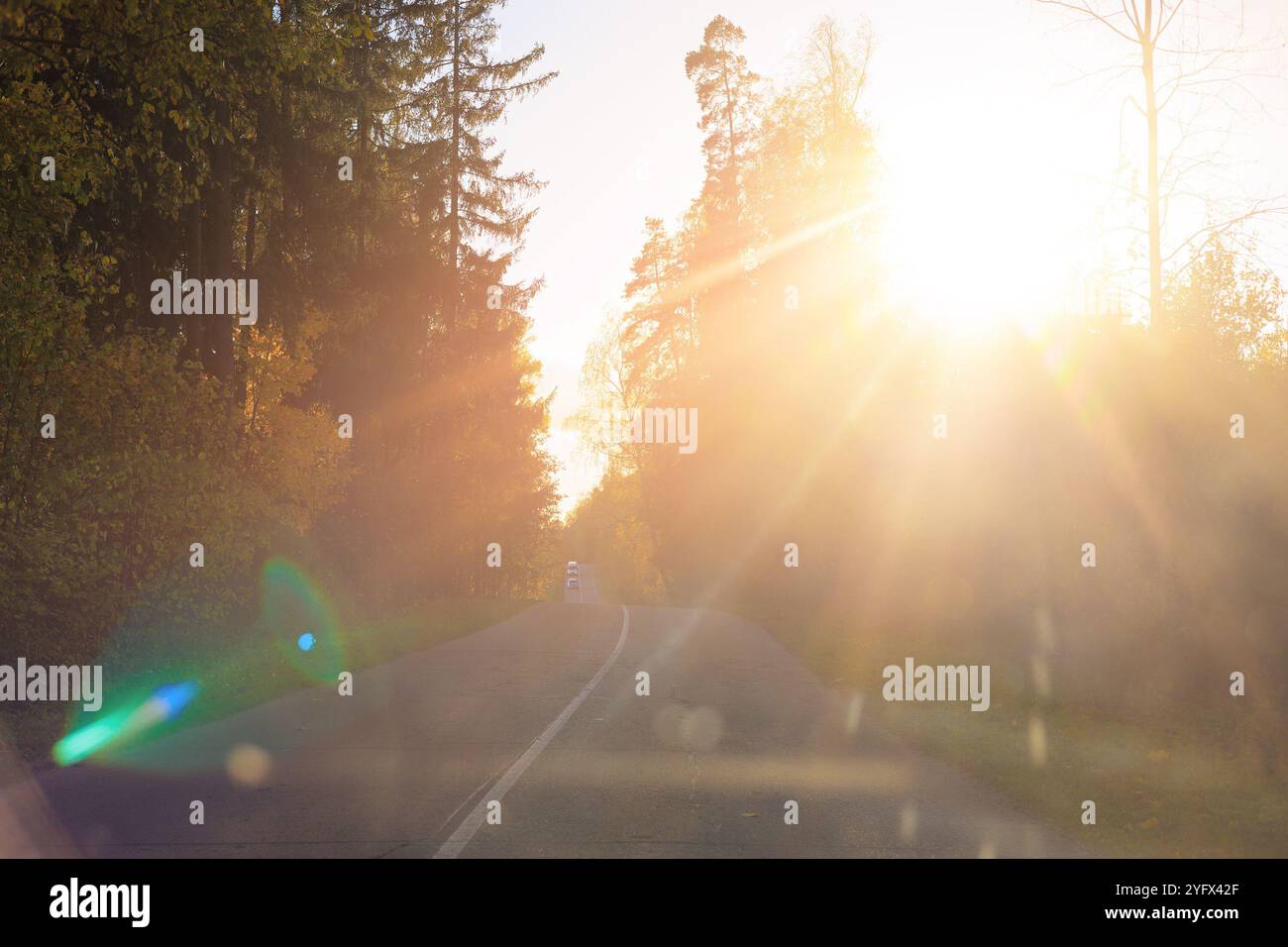 Evening view at sunset. Highway road in the countryside, roadside and ...