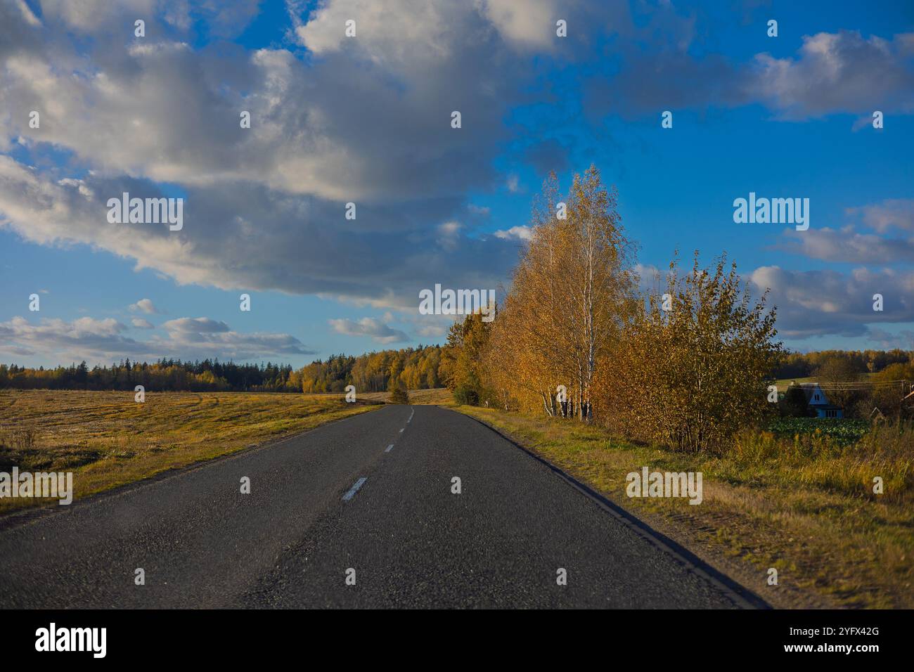 Autumn landscape, road and highway, asphalt and roadside Stock Photo ...