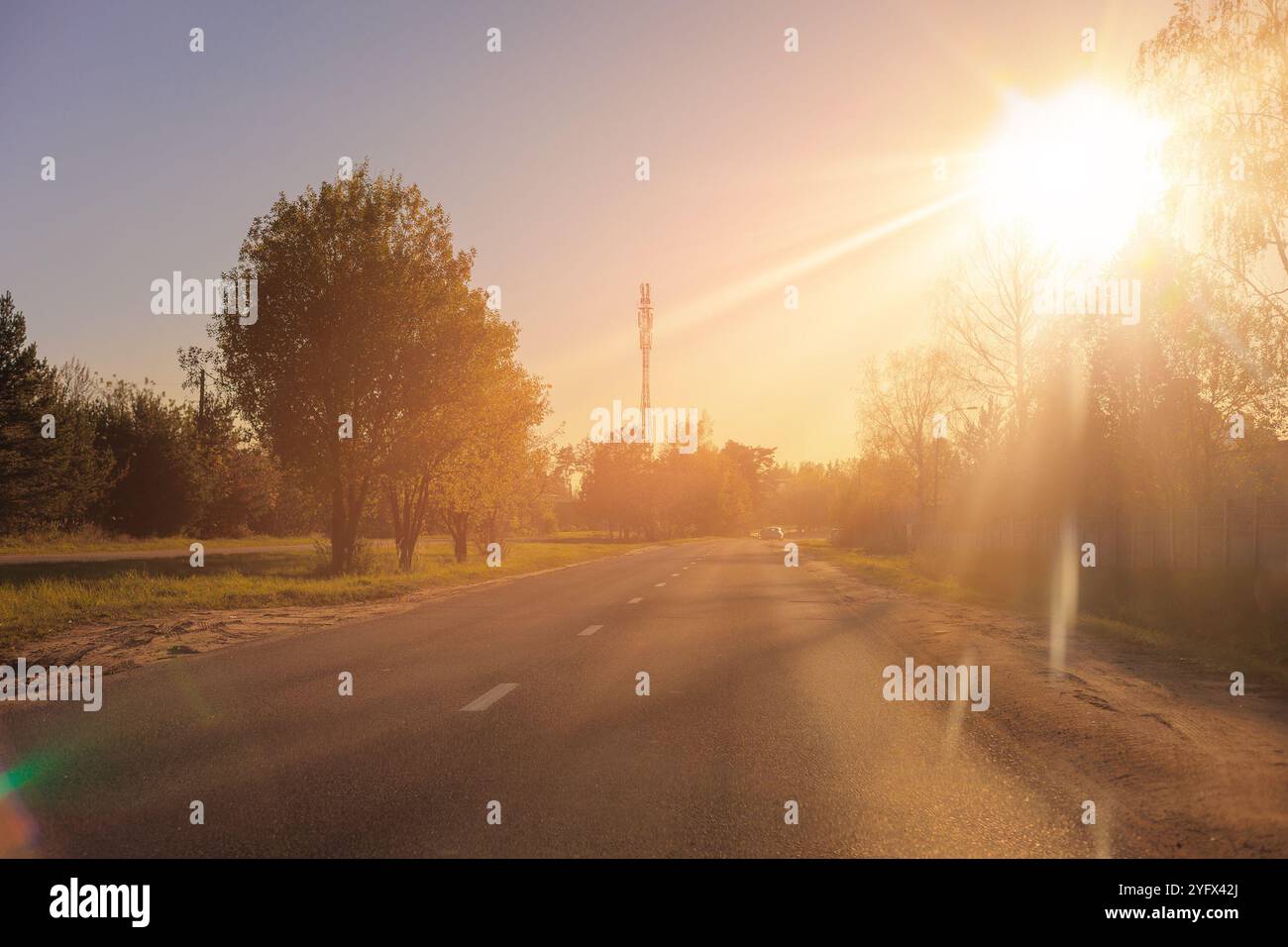 Evening view at sunset. Highway road in the countryside, roadside and ...