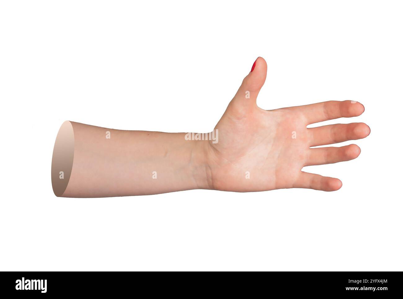 Women right hand palm Cut Out Stock Images & Pictures - Alamy