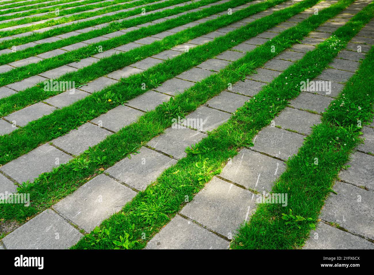 Pavement concrete slabs lined up in lawn, grass lines symmetrical ...