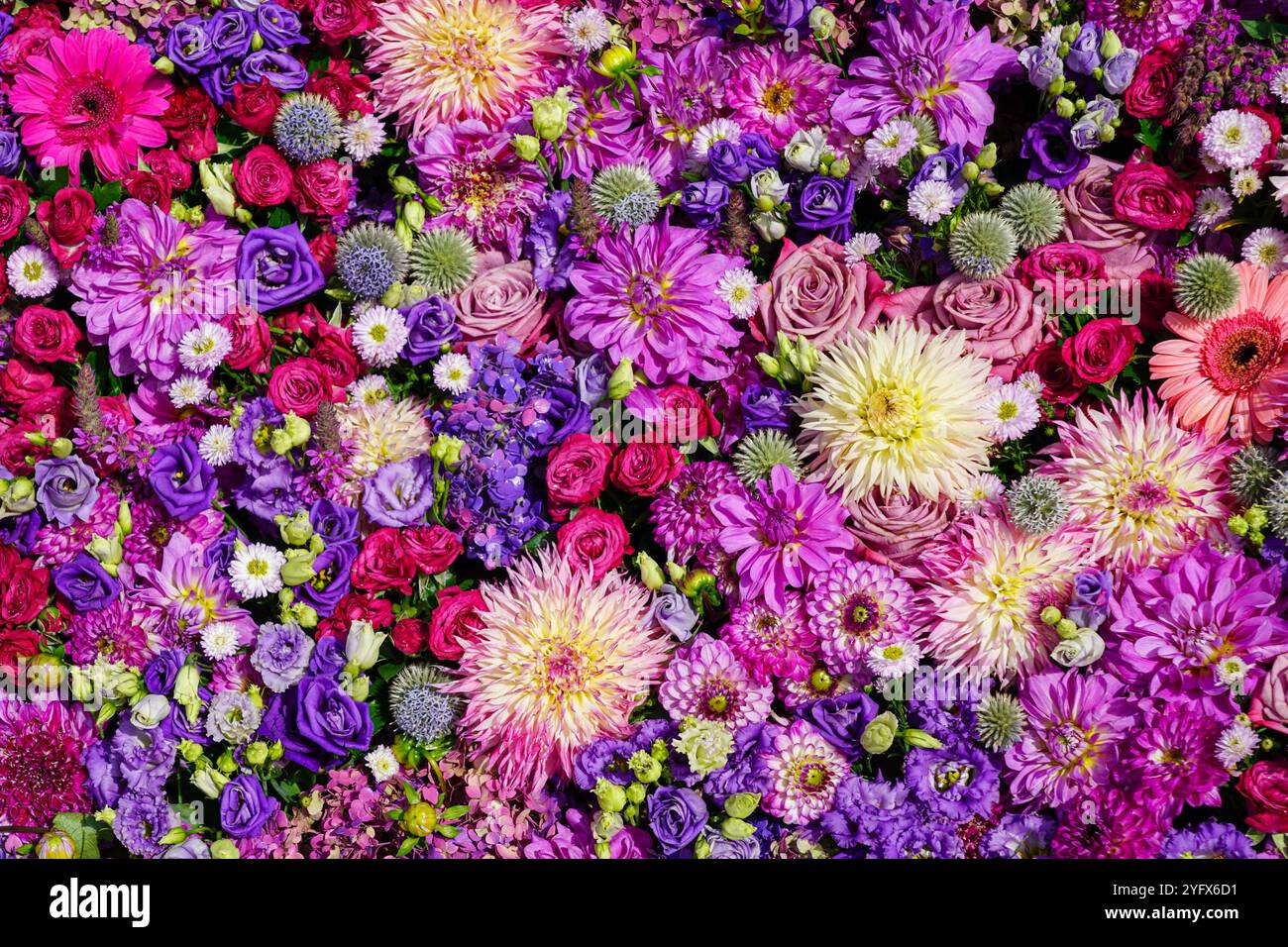 Mixed natural flowers background top view, floral backdrop, decorative ...