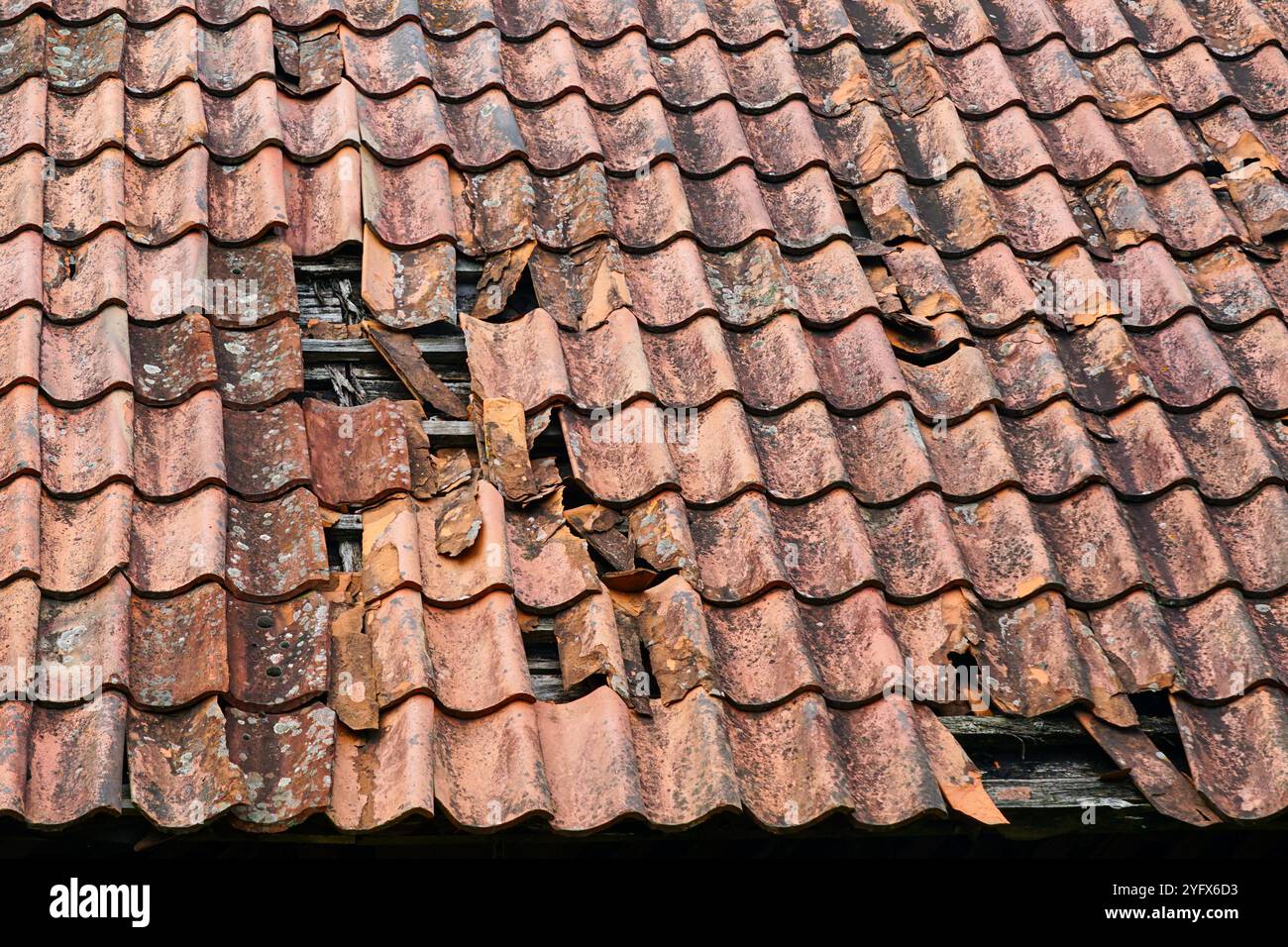 Damage to the clay tile roof of a historic house with some roof tiles ...