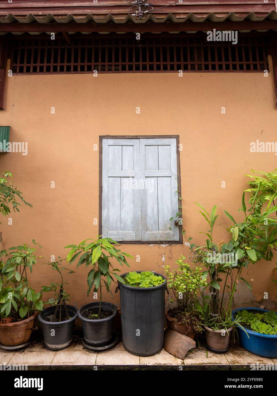 The authentic Thai wooden shophouses in the town of Trat in Thailand ...