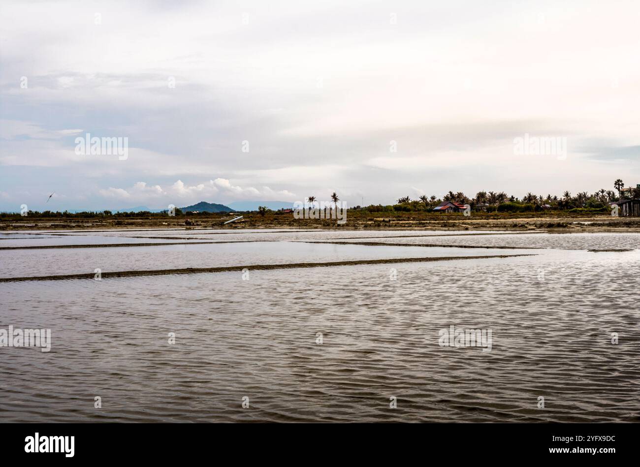 Natural salt fields near Kampot in Cambodia at sunset Stock Photo - Alamy