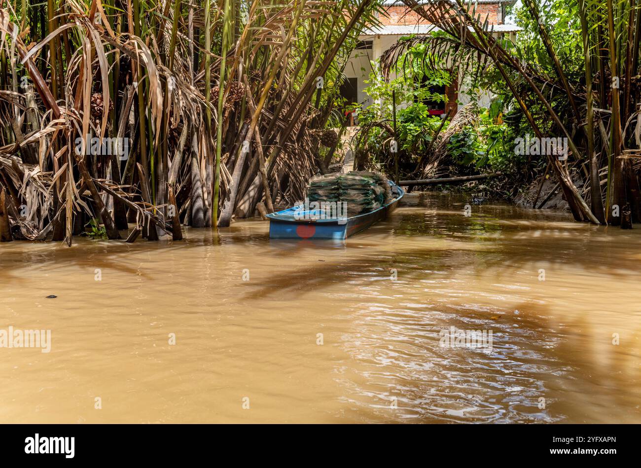 Small paddle boats and sampans in the narrow water canals in Ben Tre in ...