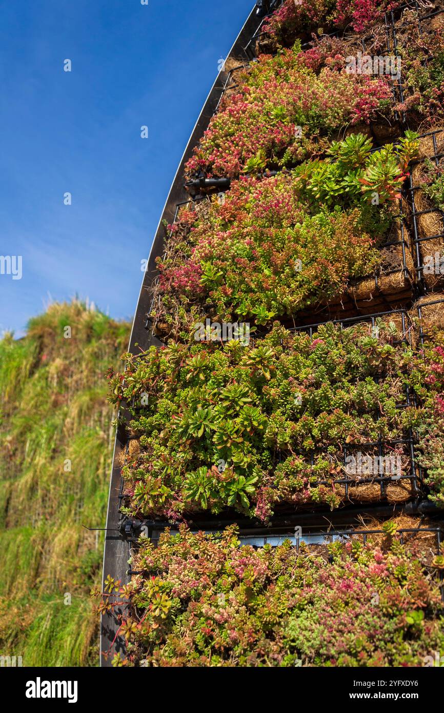 Vertical garden on modern building hi-res stock photography and images ...