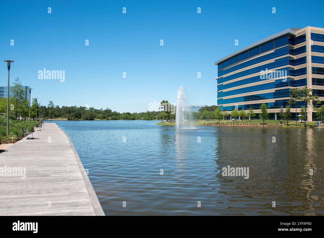 Houston woodlands hi-res stock photography and images - Alamy
