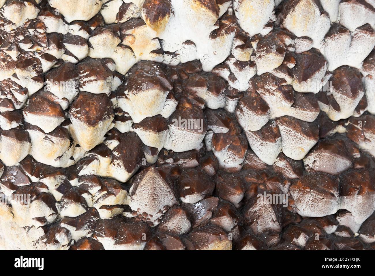 Quartz with goethite, close up photo. Goethite is an iron-bearing ...