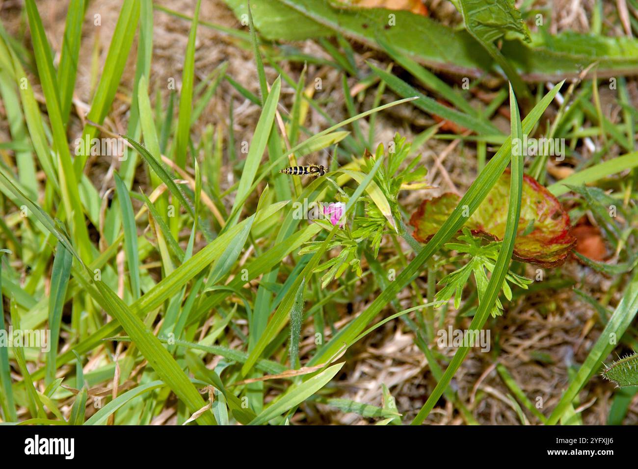 False motion hi-res stock photography and images - Alamy