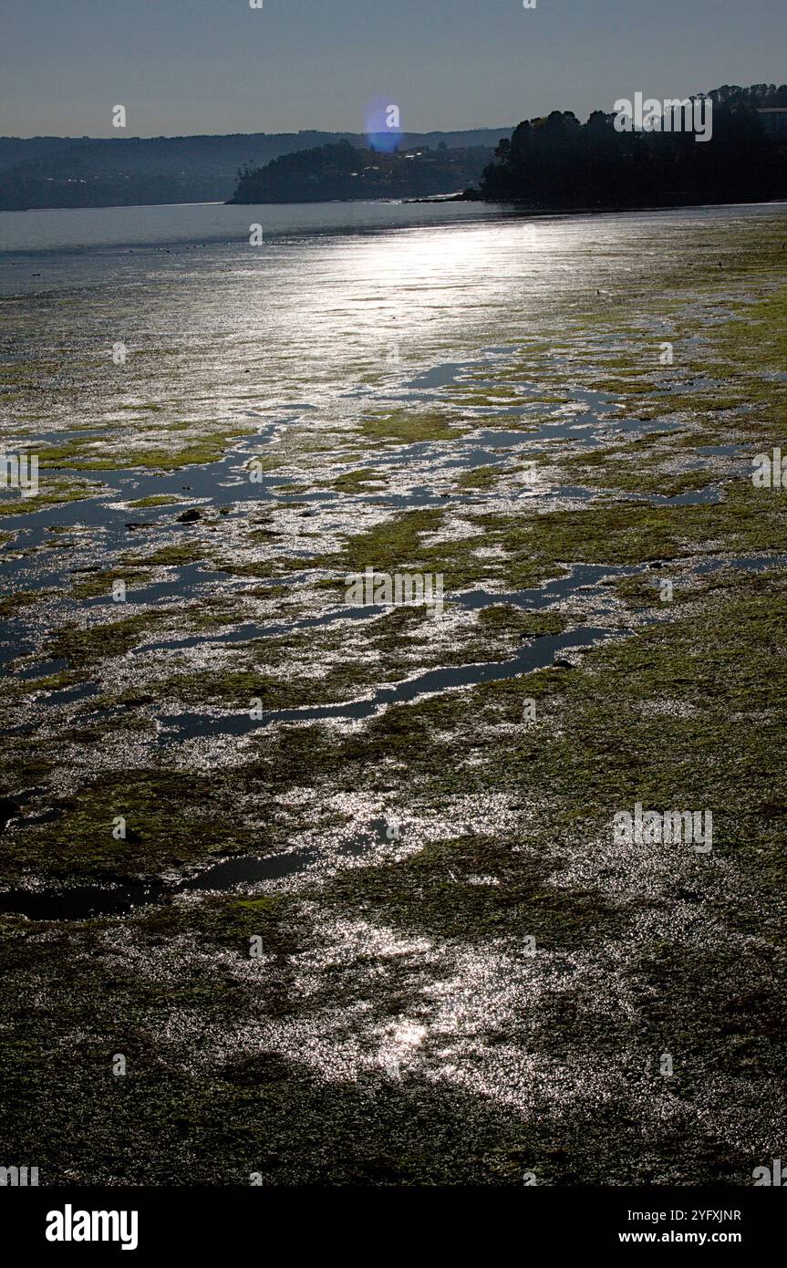 Majestic sunset over wild atlantic hi-res stock photography and images ...