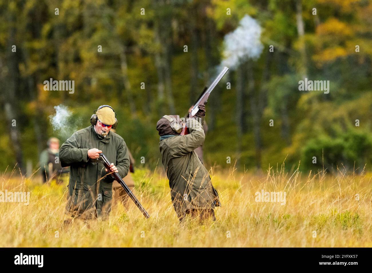 Driven grouse and partridge shooting on a Highland Scotland estate ...