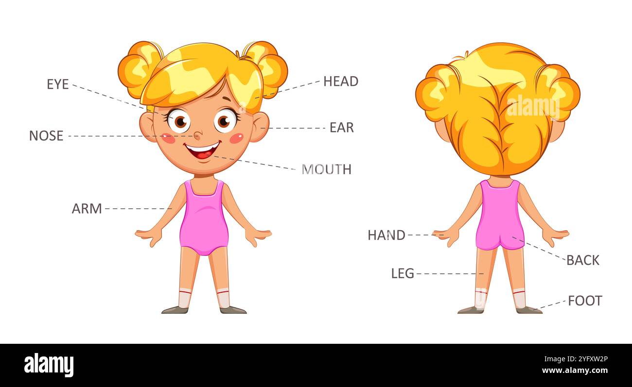 Girl body, front and rear view. Educational material for children ...