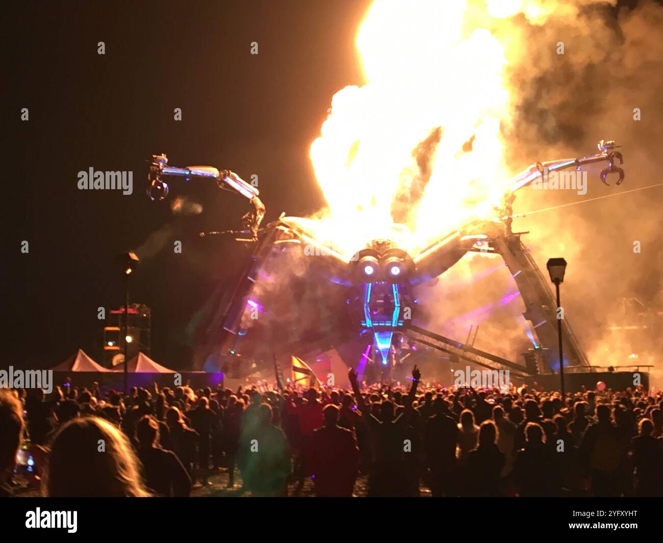 Arcadia spider hi-res stock photography and images - Alamy