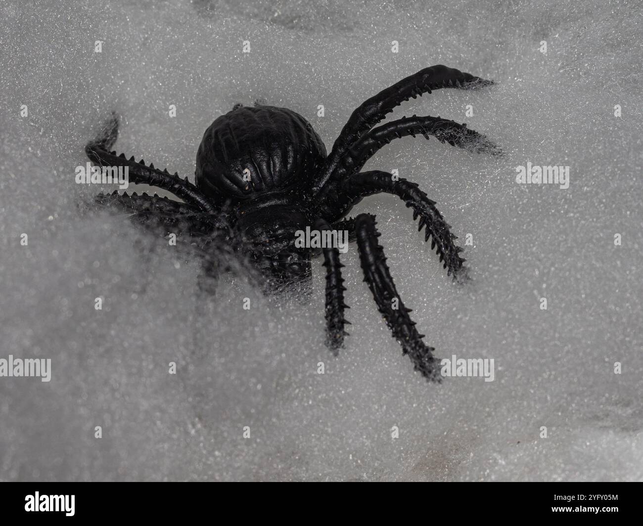 black plastic spider embedded in snow, perfectly staged to evoke a ...