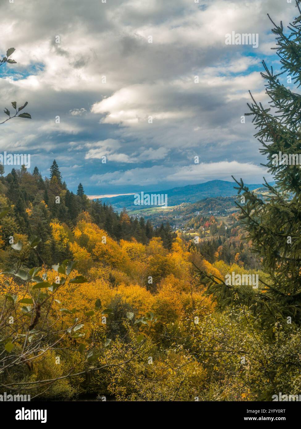 A picturesque view of rolling hills and forests in autumn. The vibrant ...