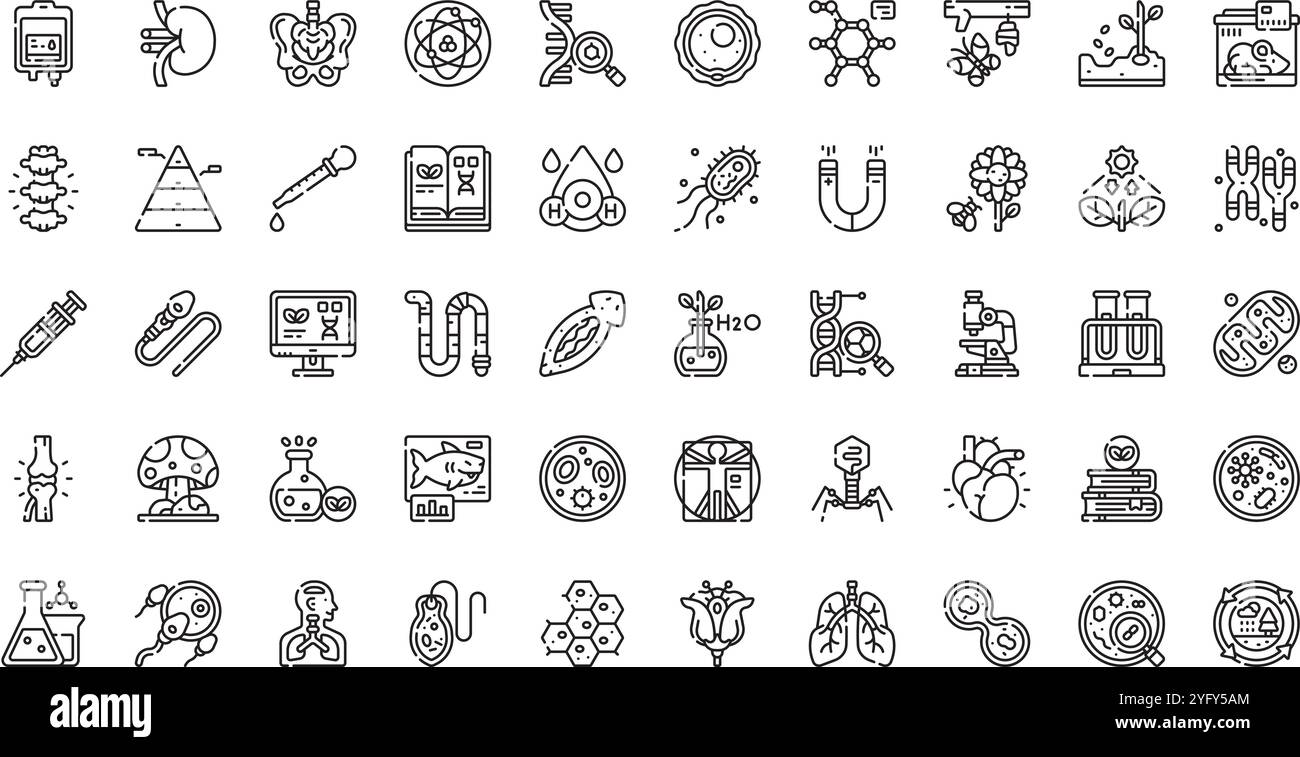 High-Quality Vector Icons Collection with Editable Stroke. Ideal for ...