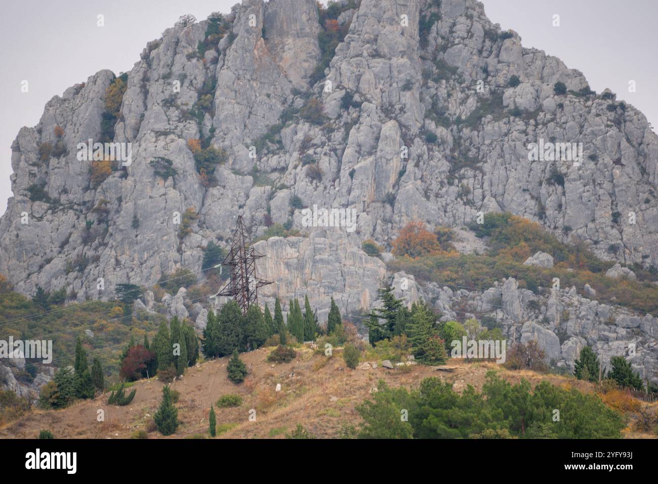 Mountain Cliff Trees Landscape - A large grey cliff face with trees and ...