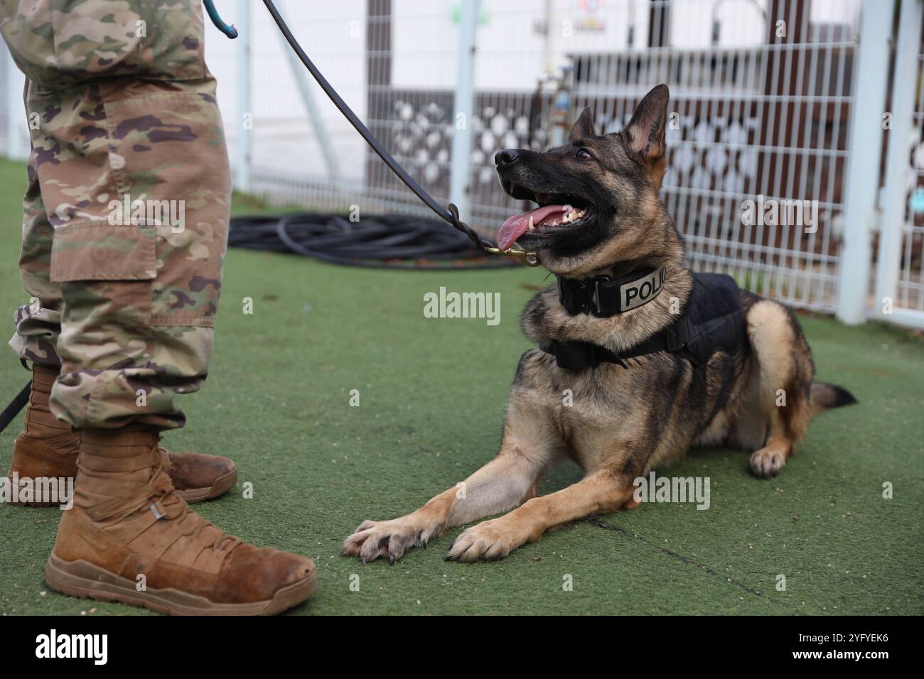 The 903rd Military Working Dog Regiment recently visited Korea Pet High ...