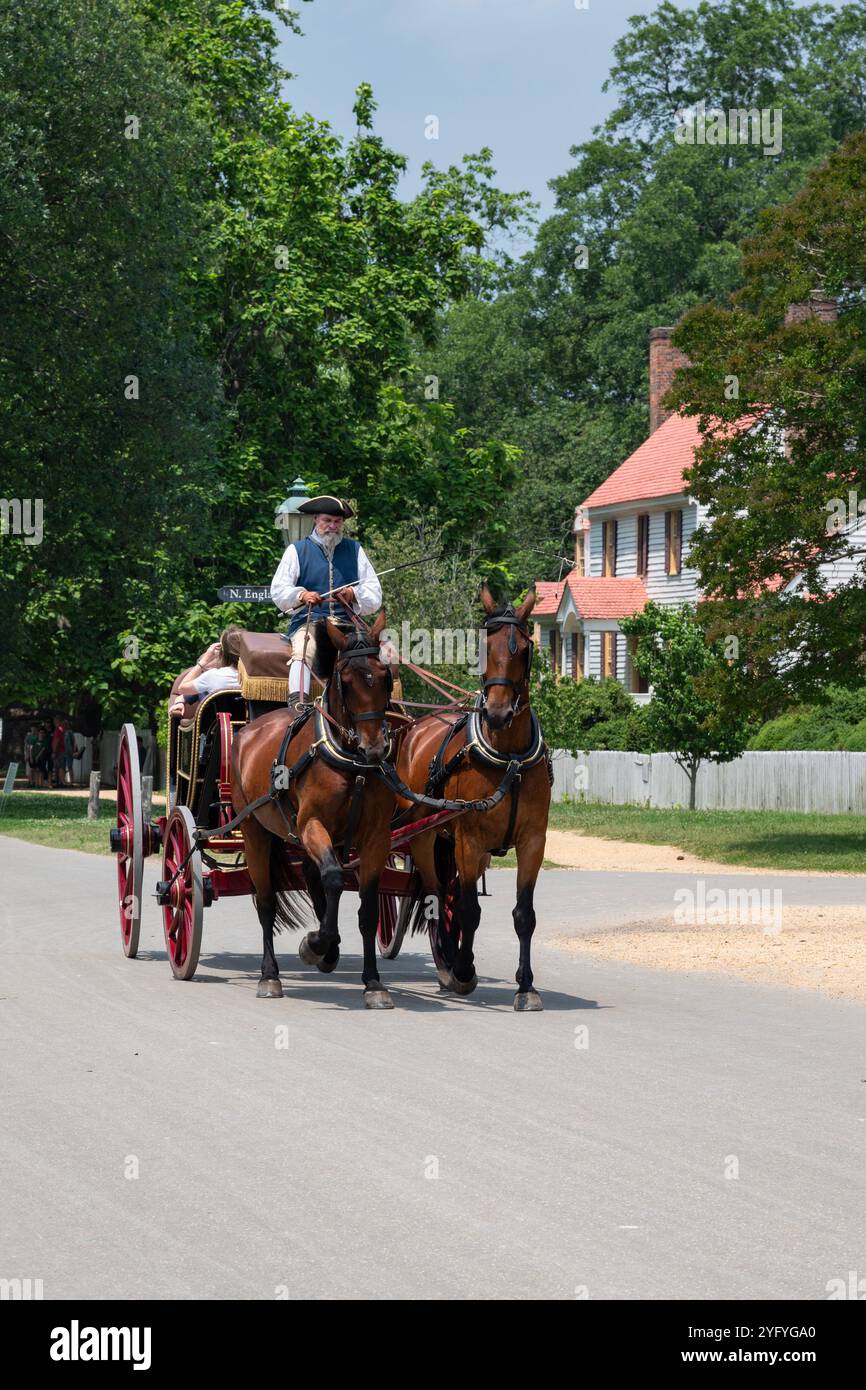 Colonial Williamsburg horse drawn carriage ride in historic area Stock ...