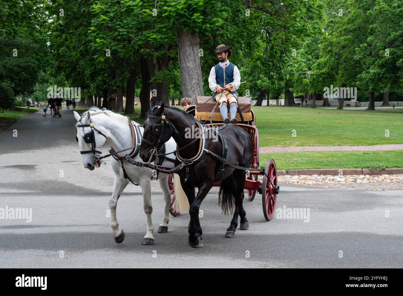 Colonial Williamsburg horse drawn carriage ride in historic area Stock ...