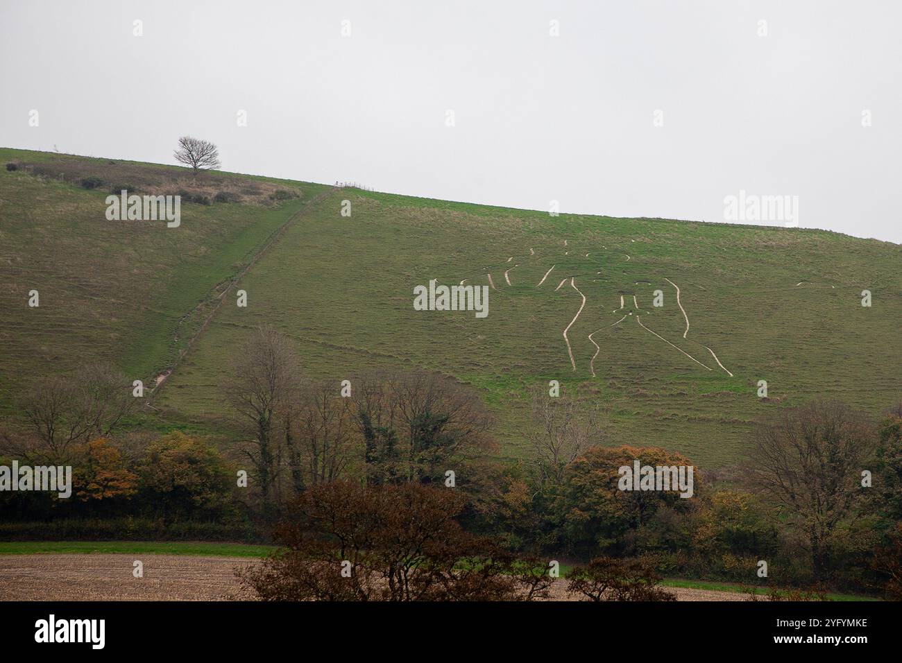 Cerne Abbas Giant as seen from the viewpoint Stock Photo - Alamy