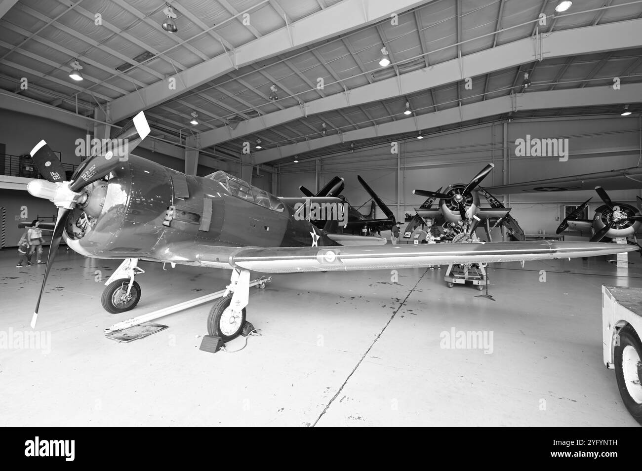 North American P-64 Stock Photo - Alamy