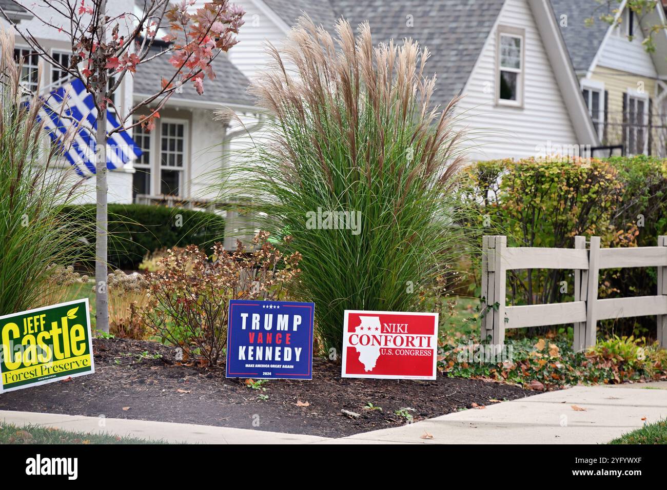 Glen Ellyn, Illinois, USA. Candidate signs on display in DuPage County ...