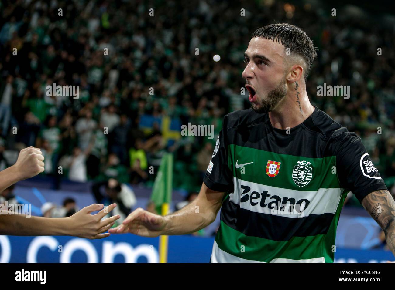 Portugal. 05th Nov, 2024. Zeno Debast defender of Sporting CP during ...
