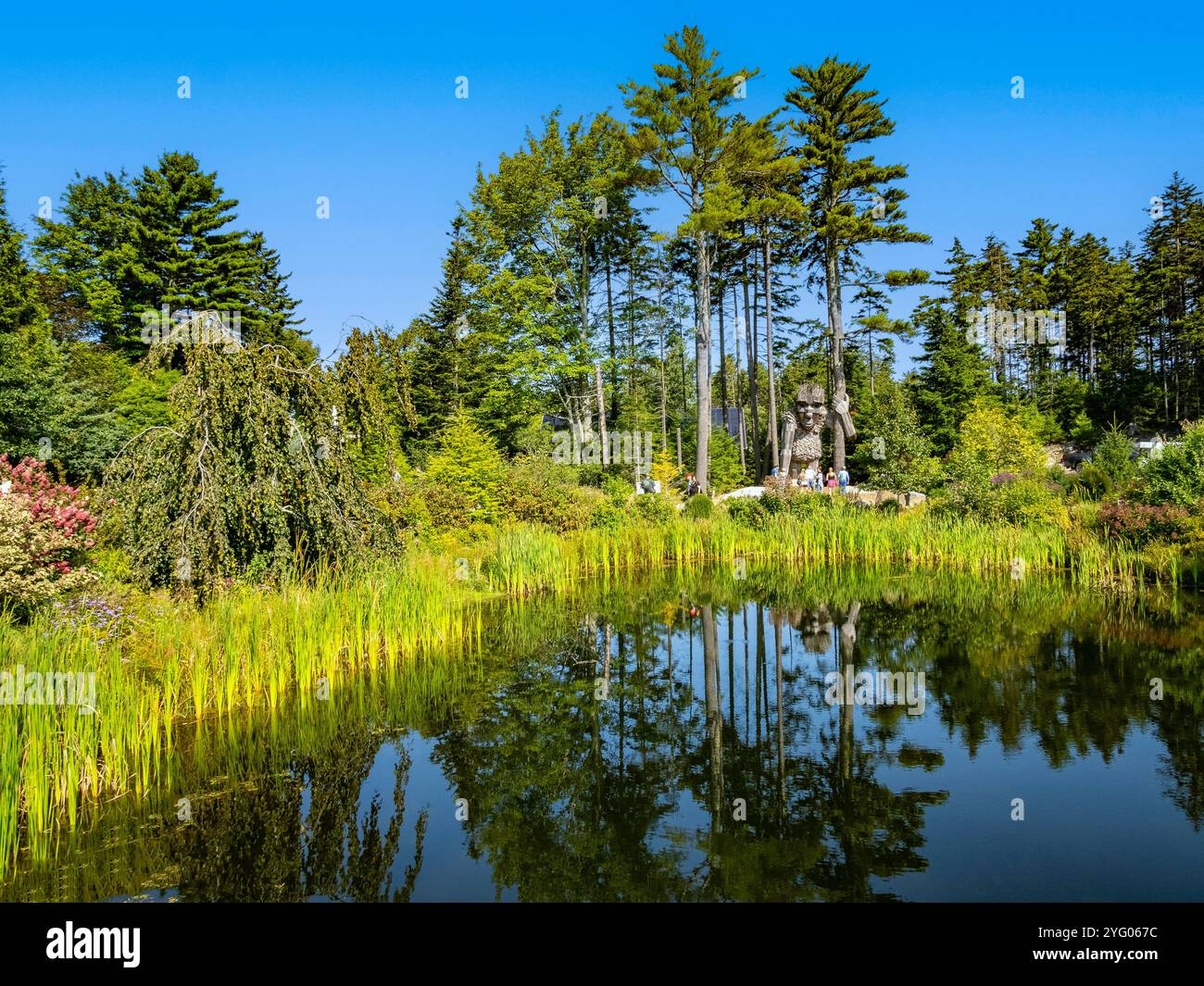 giant troll, Roskva, in the Coastal Maine Botanical Gardens in Boothbay ...