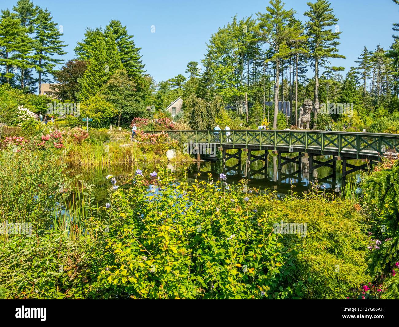 Fall in the Coastal Maine Botanical Gardens in Boothbay Harbor Maine ...