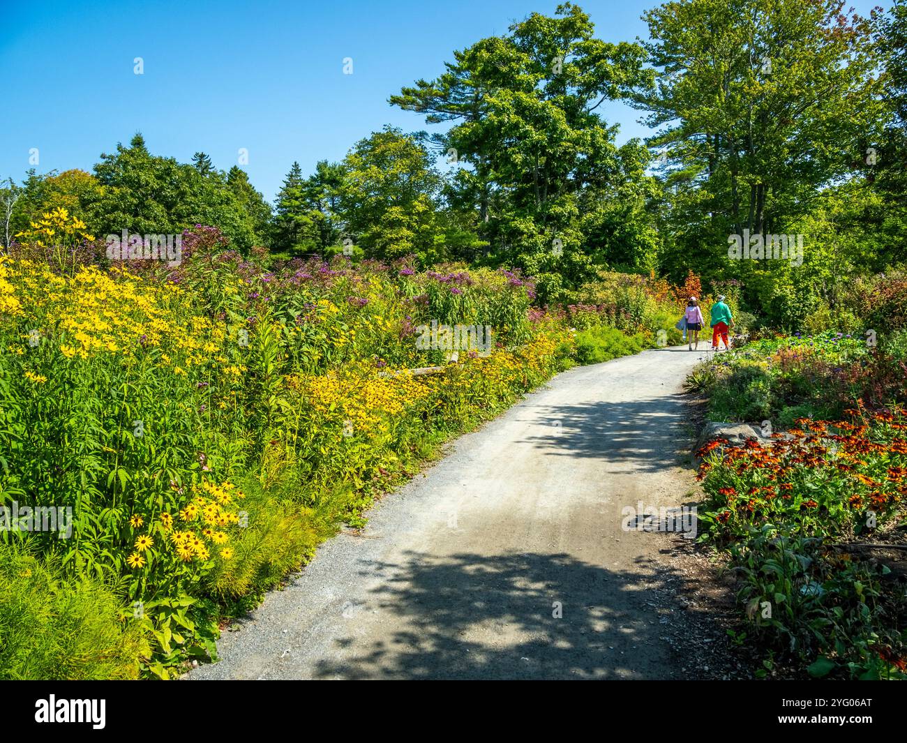 Fall in the Coastal Maine Botanical Gardens in Boothbay Harbor Maine ...