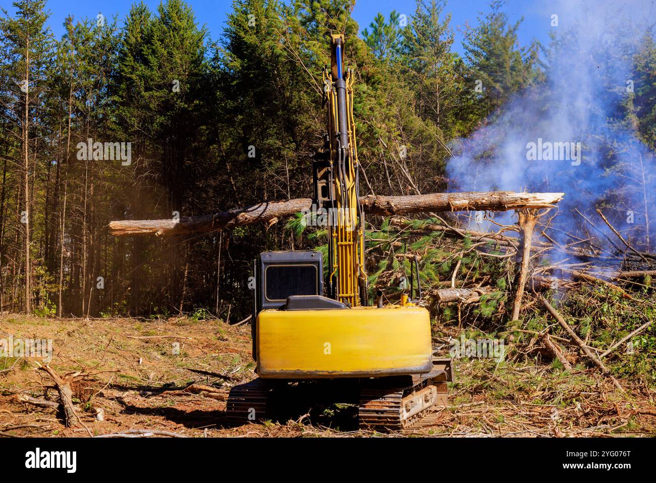 Using an excavator to uproot trees when preparing construction site for ...