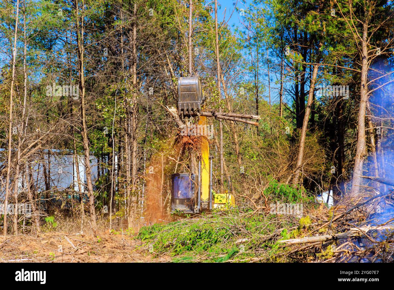 Using an excavator to uproot trees when preparing land for construction ...