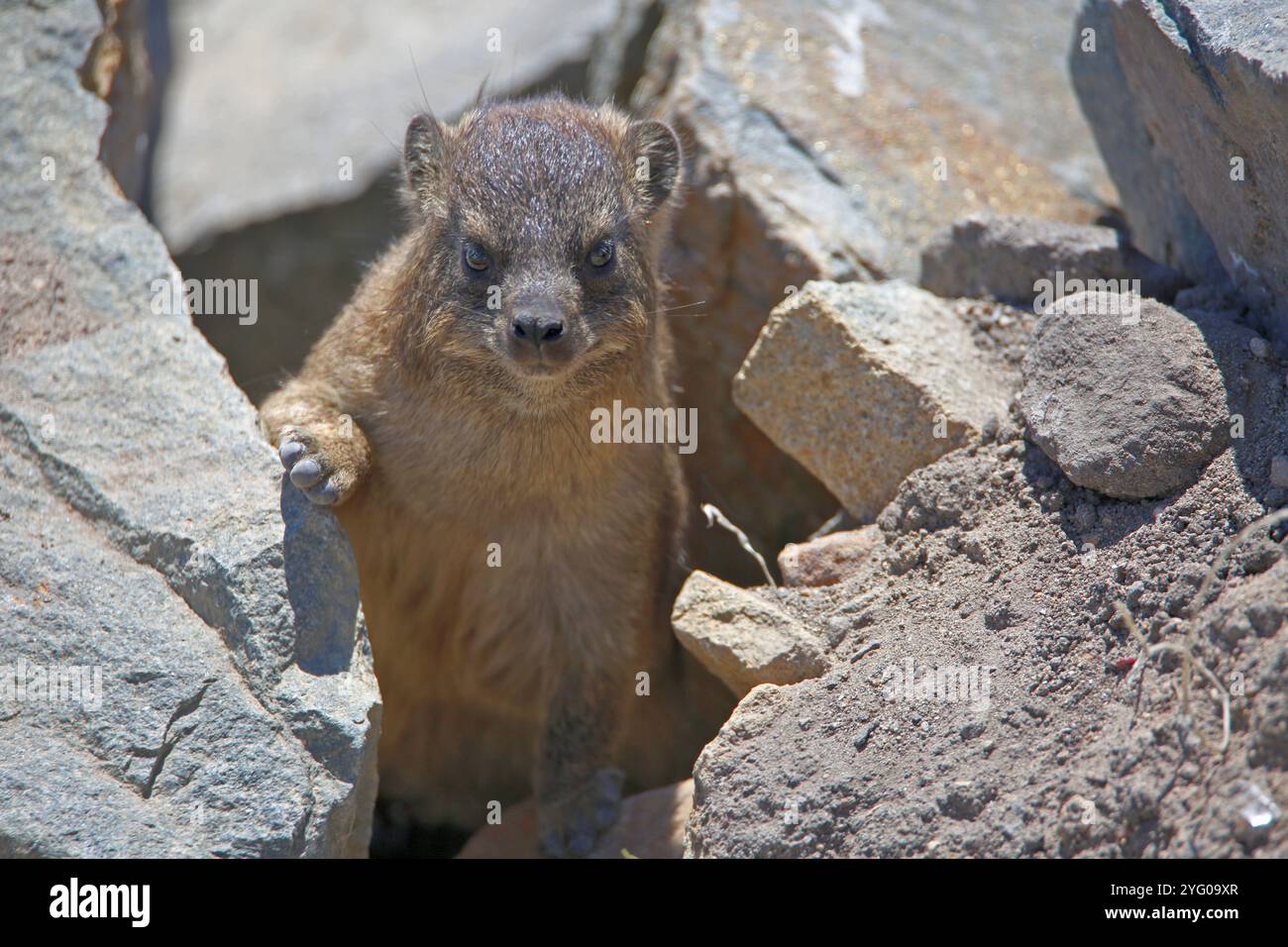 Feet soles rubber like hi-res stock photography and images - Alamy