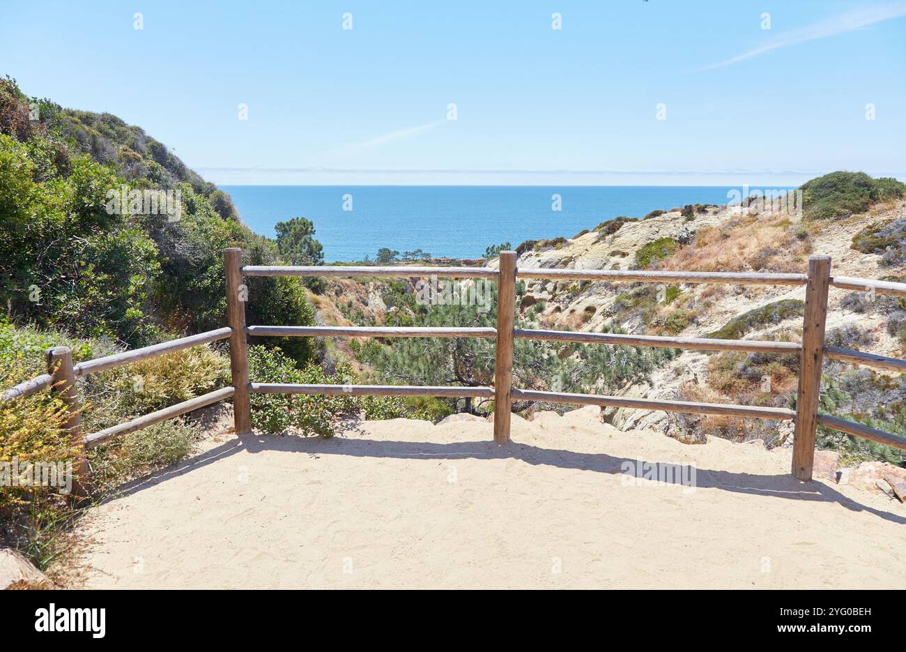 The Torrey Pines State Natural Preserve is home to the Torrey pine, one ...